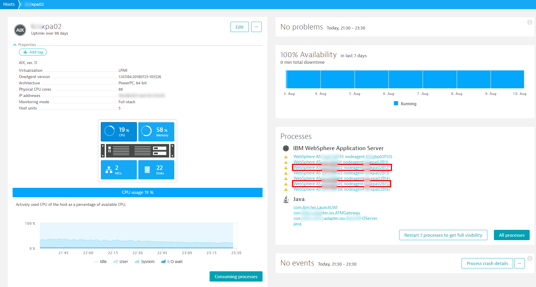 Cannot See Processes On Host After Installed Oneagent In Ibm Websphere