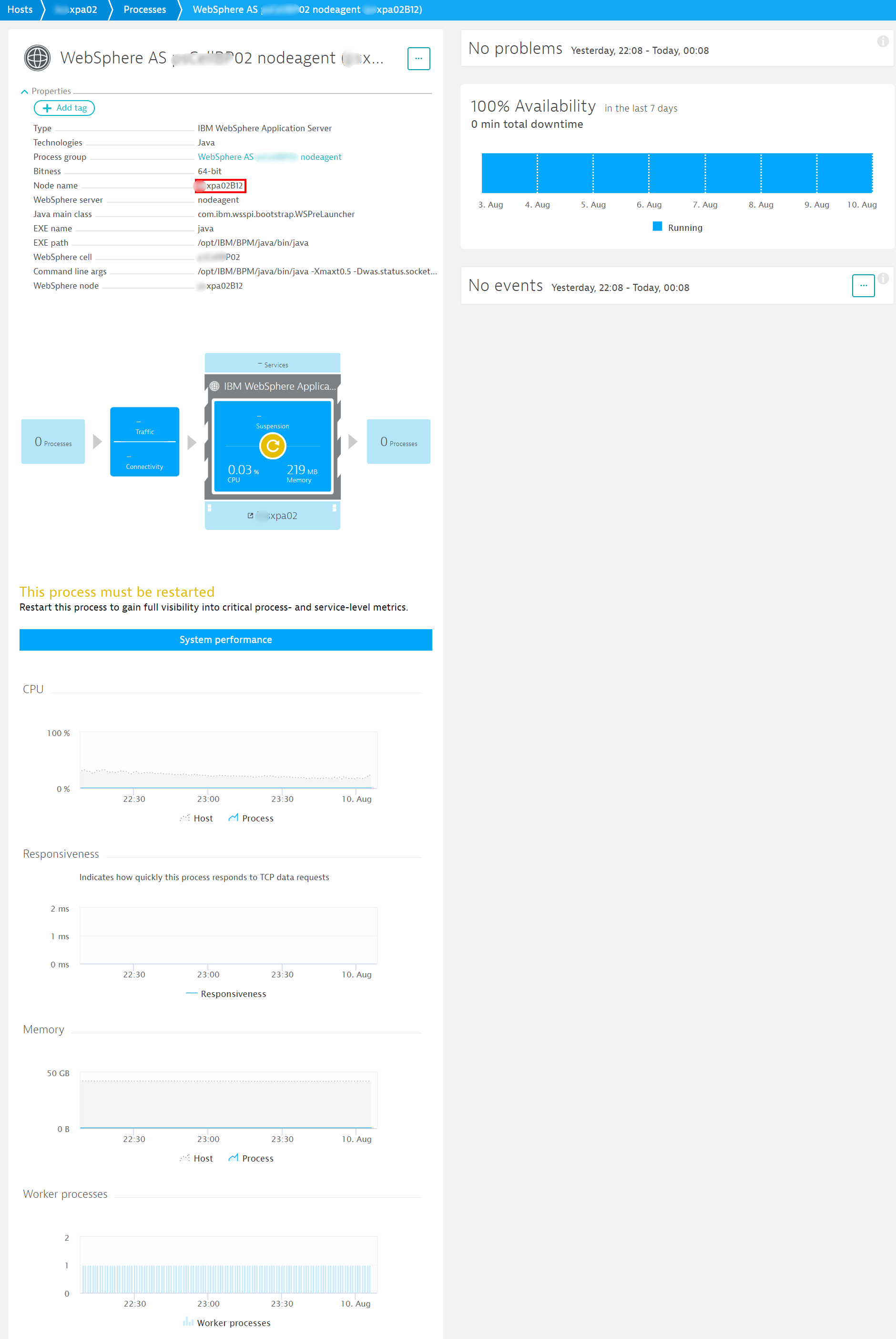 Cannot See Processes On Host After Installed Oneagent In Ibm Websphere