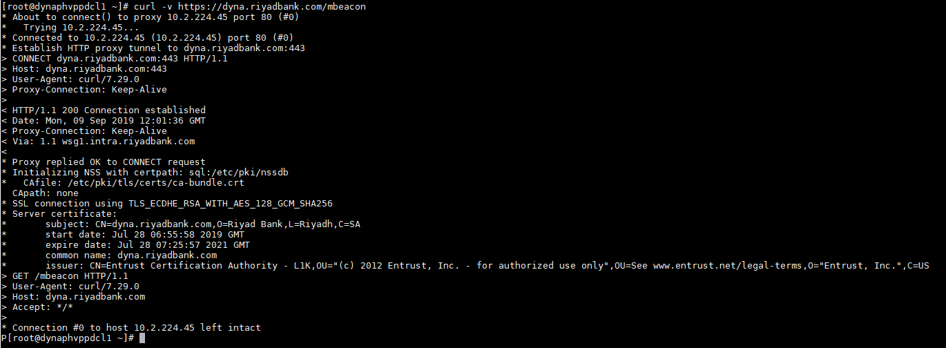 Solved Re Cluster Activegate Test Connection Fail Dynatrace Community