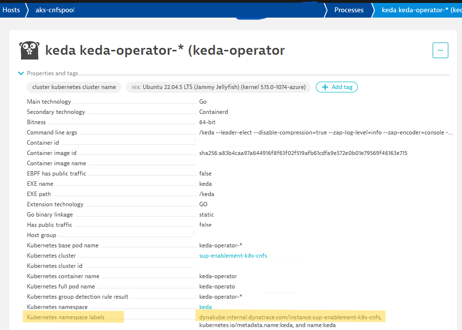Dynatrace Operator - Cloud Native Full Stack - Pod Injection Validation ...